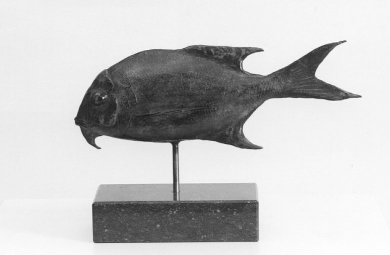 fish from Egypt – Ap Verheggen